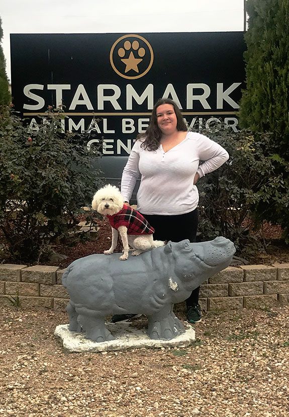 Puppy & Dog Training in Fairfield | The Pet Hotel Fairfield